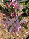 SoCal Double D Farm | Discover Our Farm Today