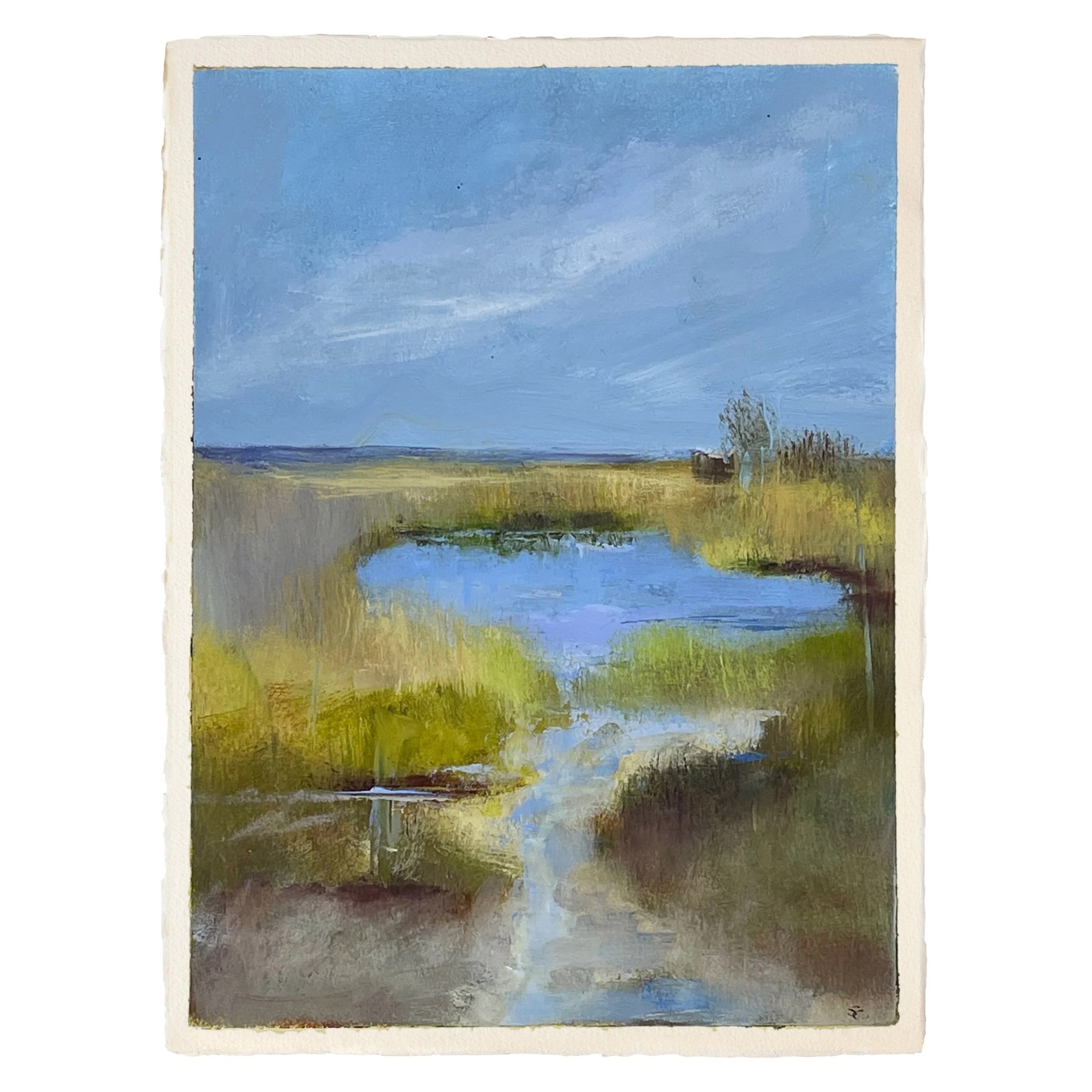 Shop — Susan Coyne Studio