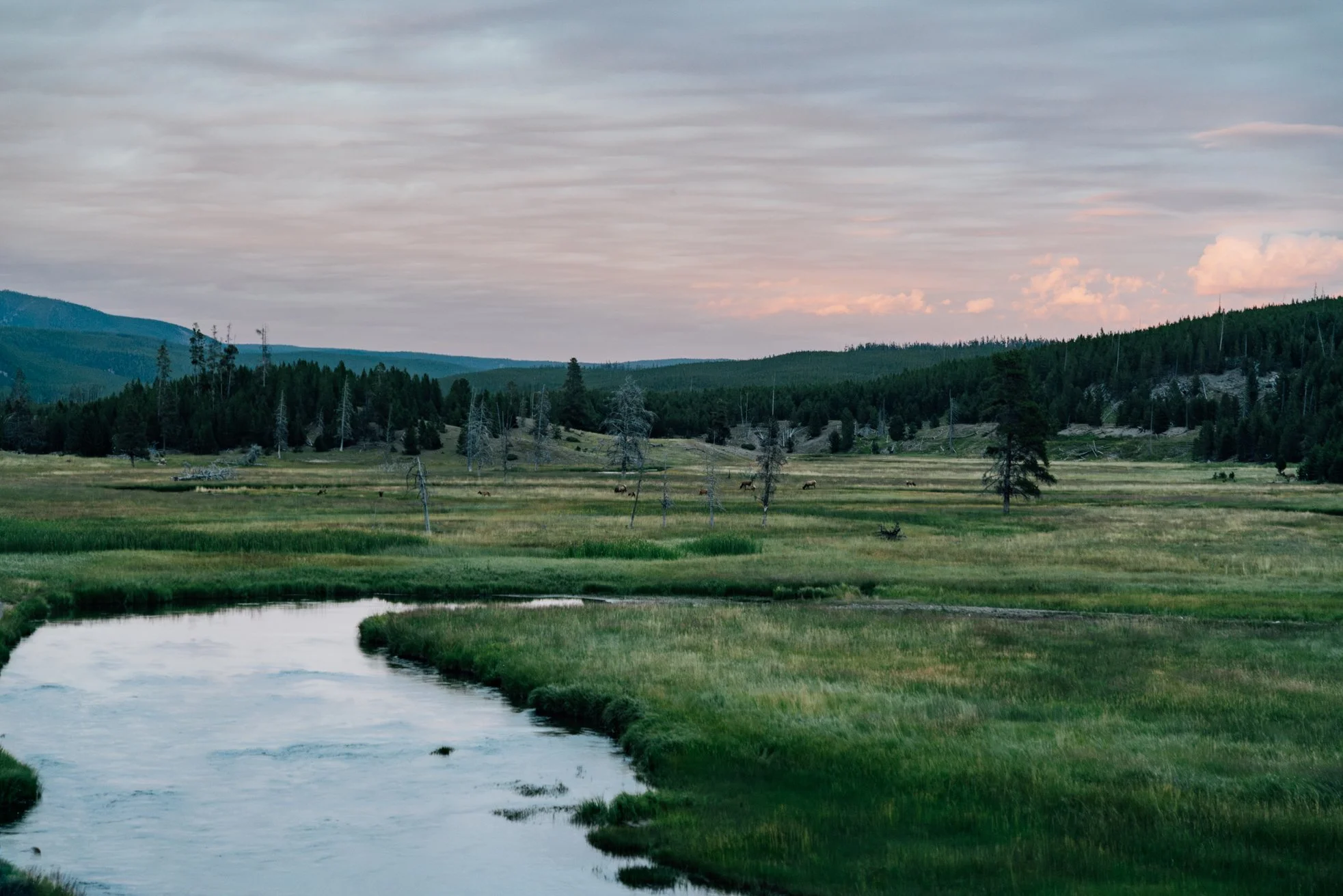 Yellowstone National Park Elopement Guide for 2024 — Tiana Olivia ...