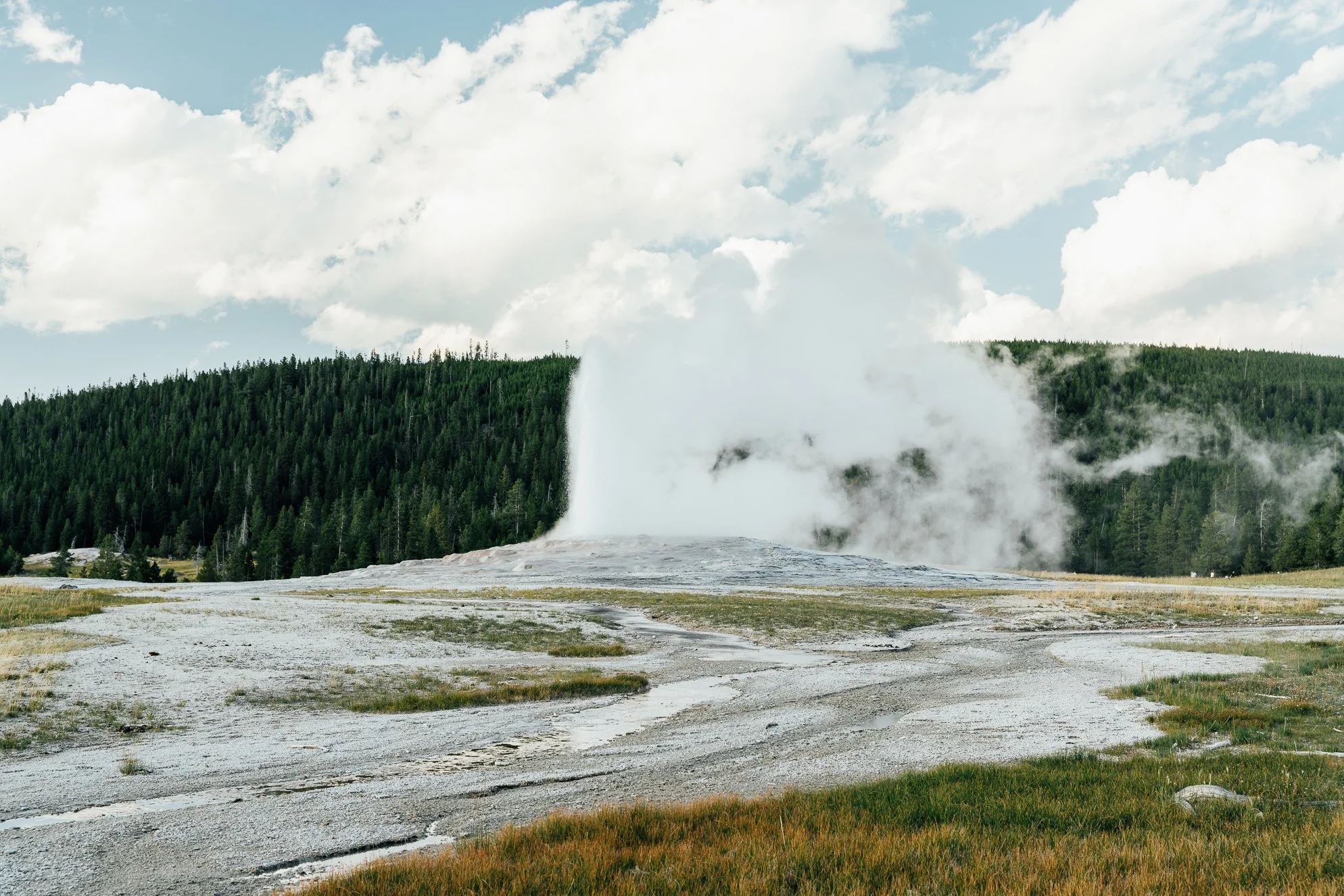 Yellowstone National Park Elopement Guide for 2024 — Tiana Olivia ...