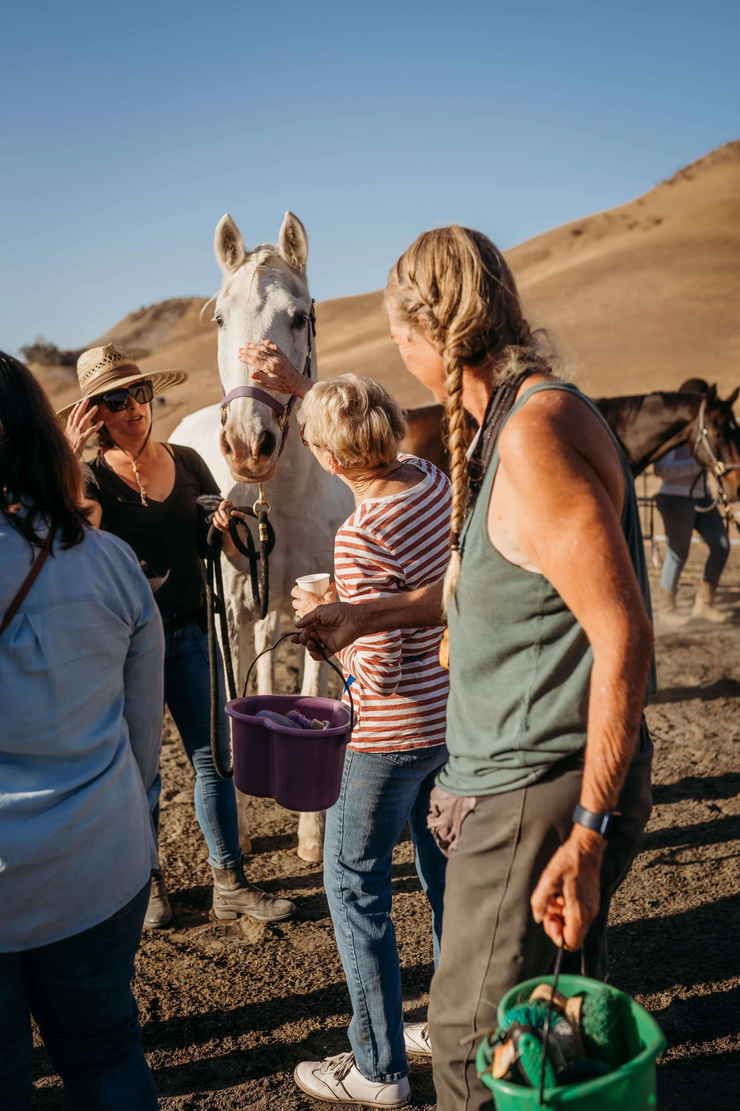 Rusty Halo Ranch | Equine-Assisted Therapy & Outdoor Experiences