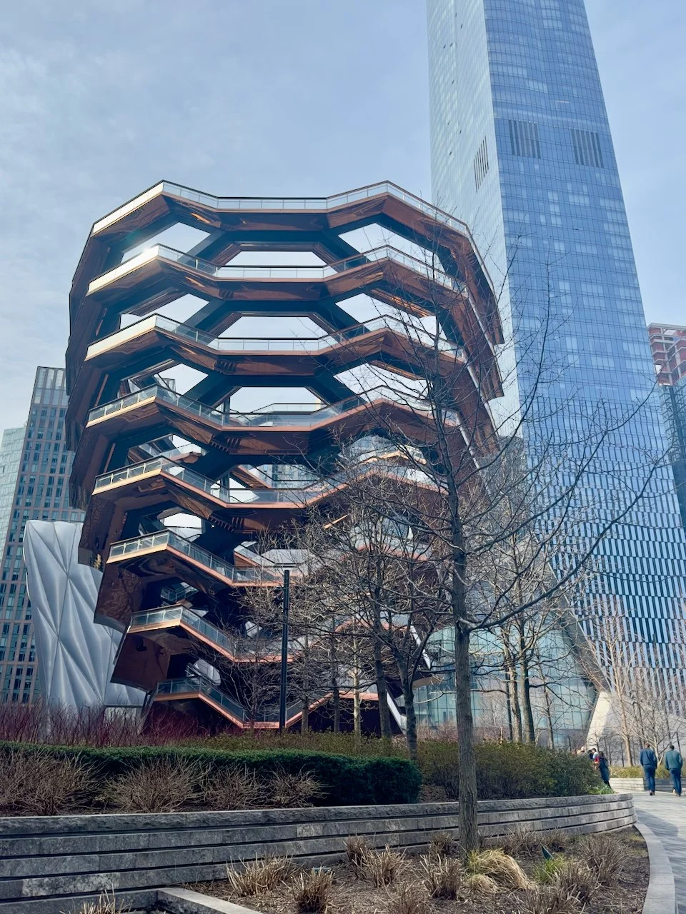 Contact — Matthew S. Conti, MD