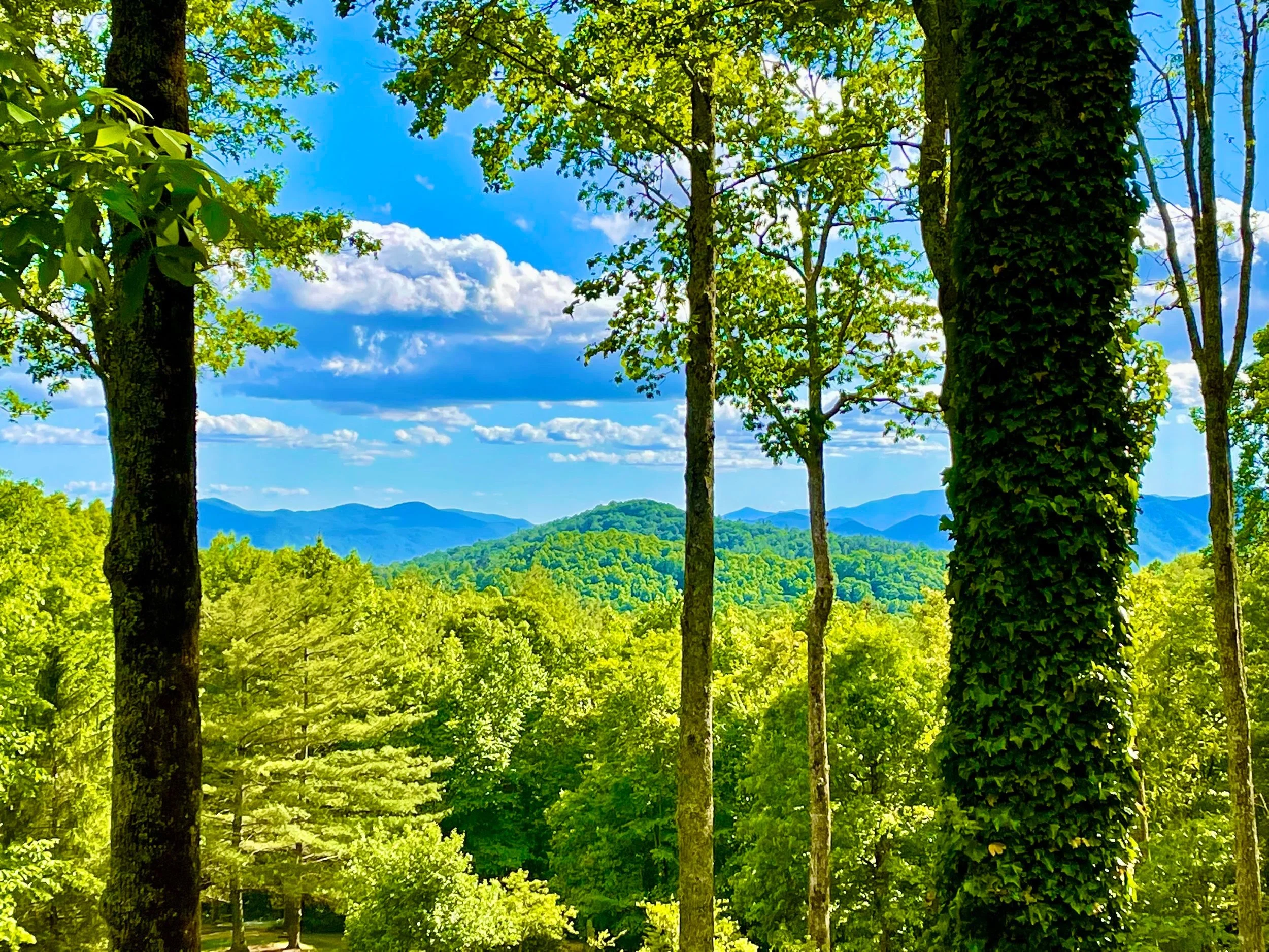 Highland Gap POA — Highland Gap Community