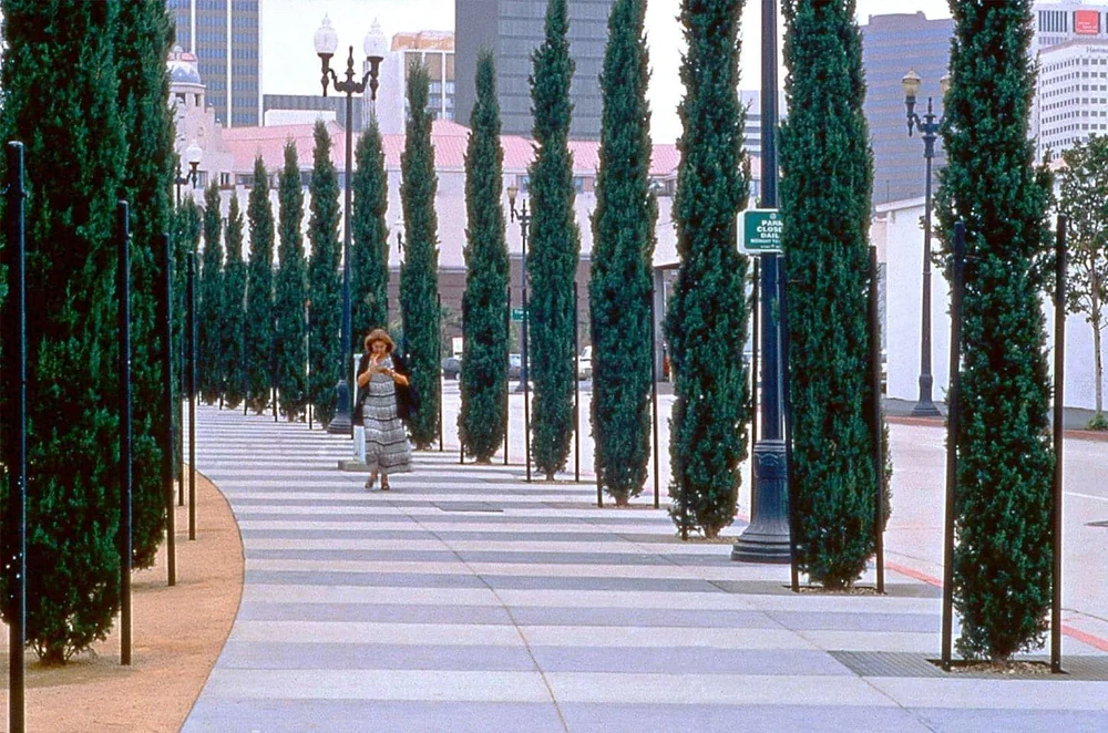 Marina Linear Park — Martha Schwartz Partners