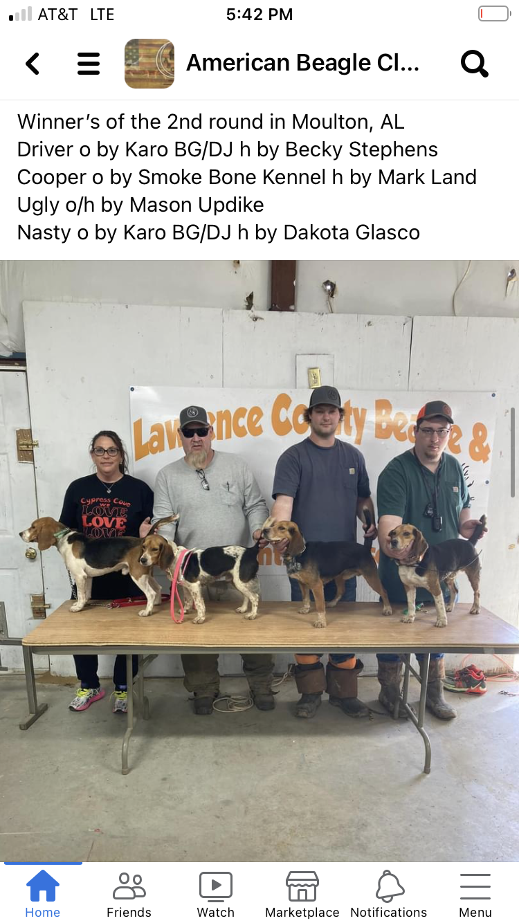 Event Results — American Beagle Club