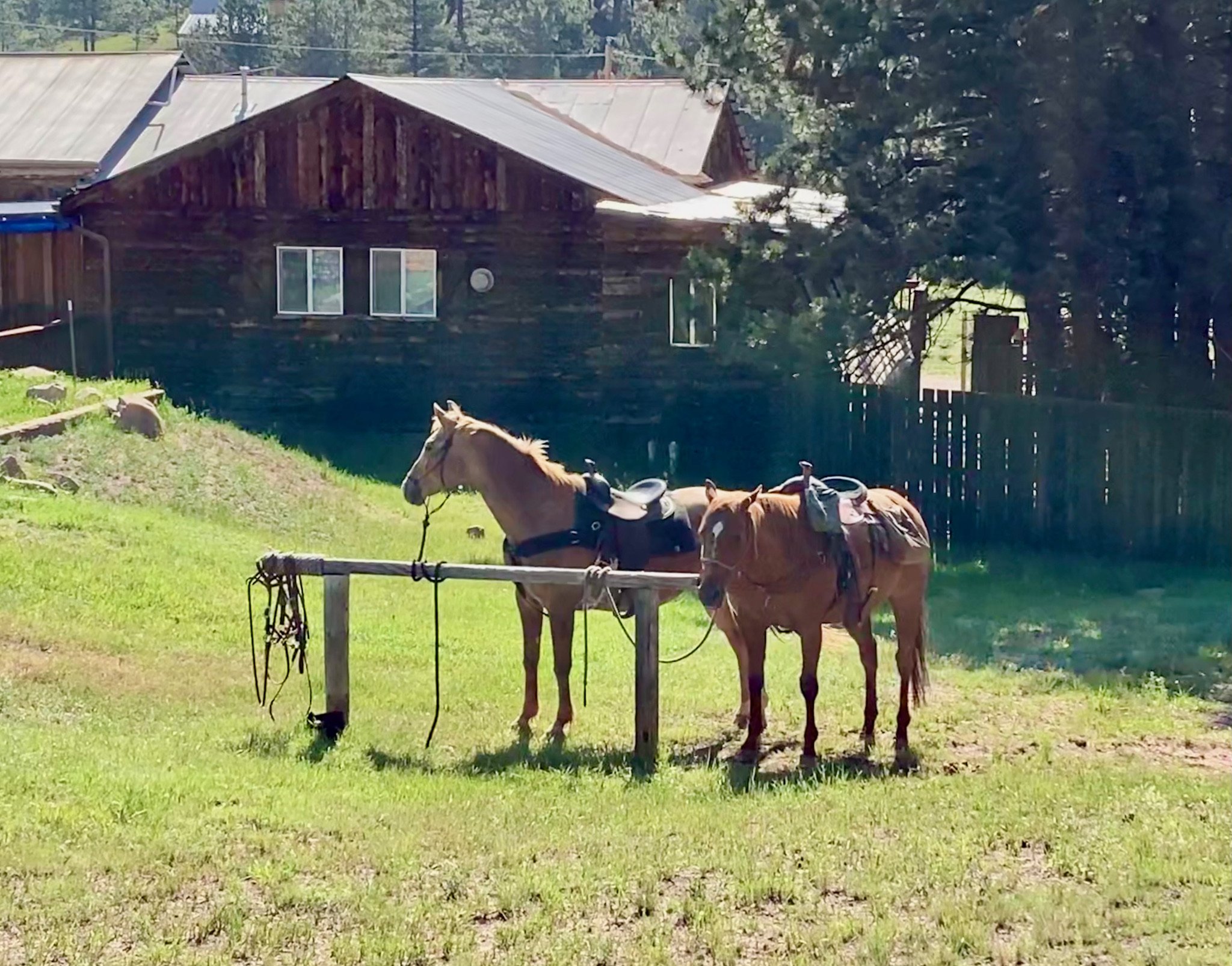 About Guffey, CO — Wild Spirit Mountain Lodge