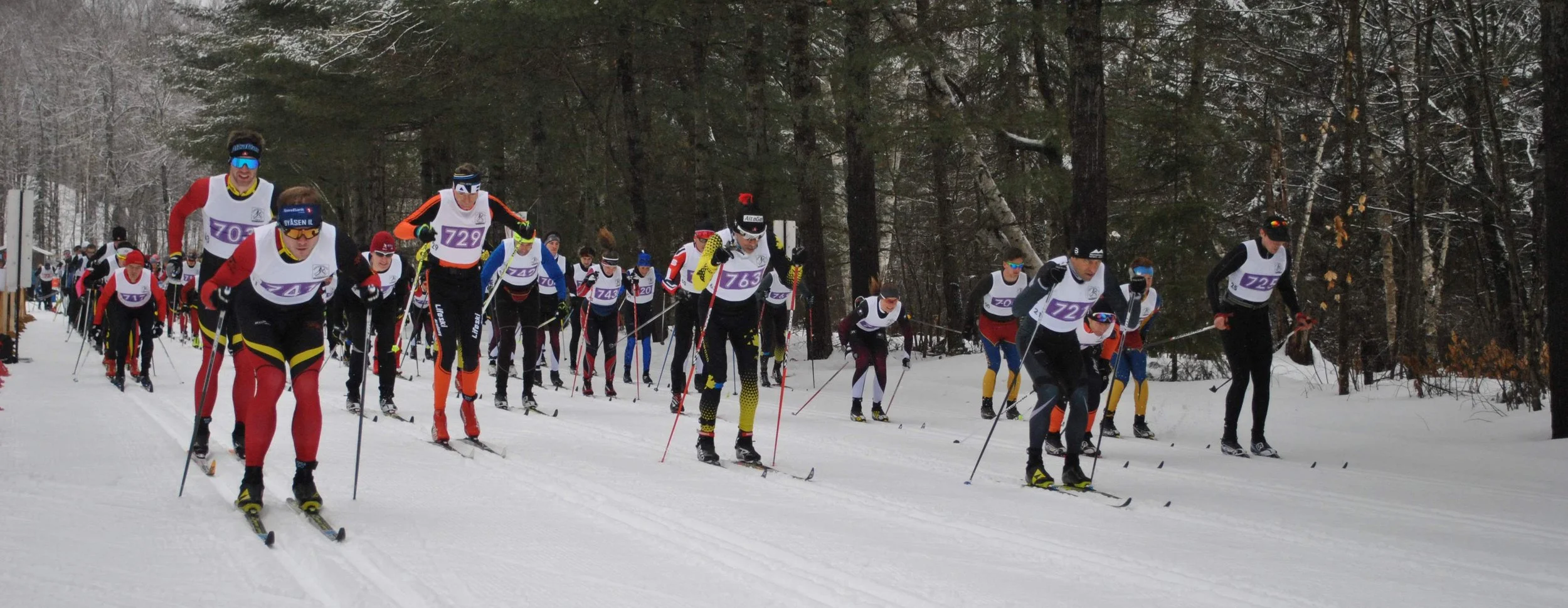 Muskoka Loppet 2026 — Arrowhead Nordic Ski Club