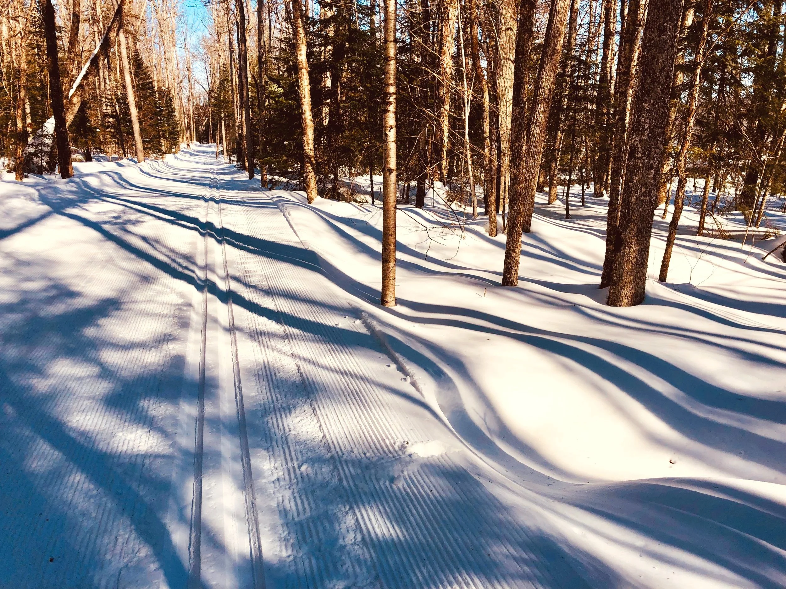 Programs — Arrowhead Nordic Ski Club