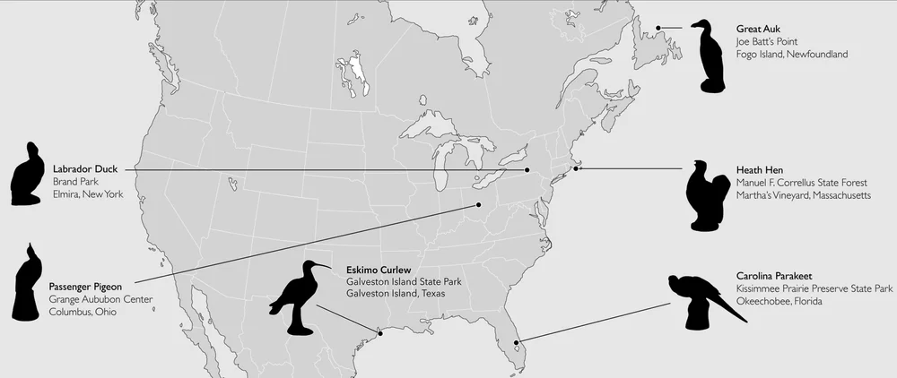 Memorials to Lost Birds — Home