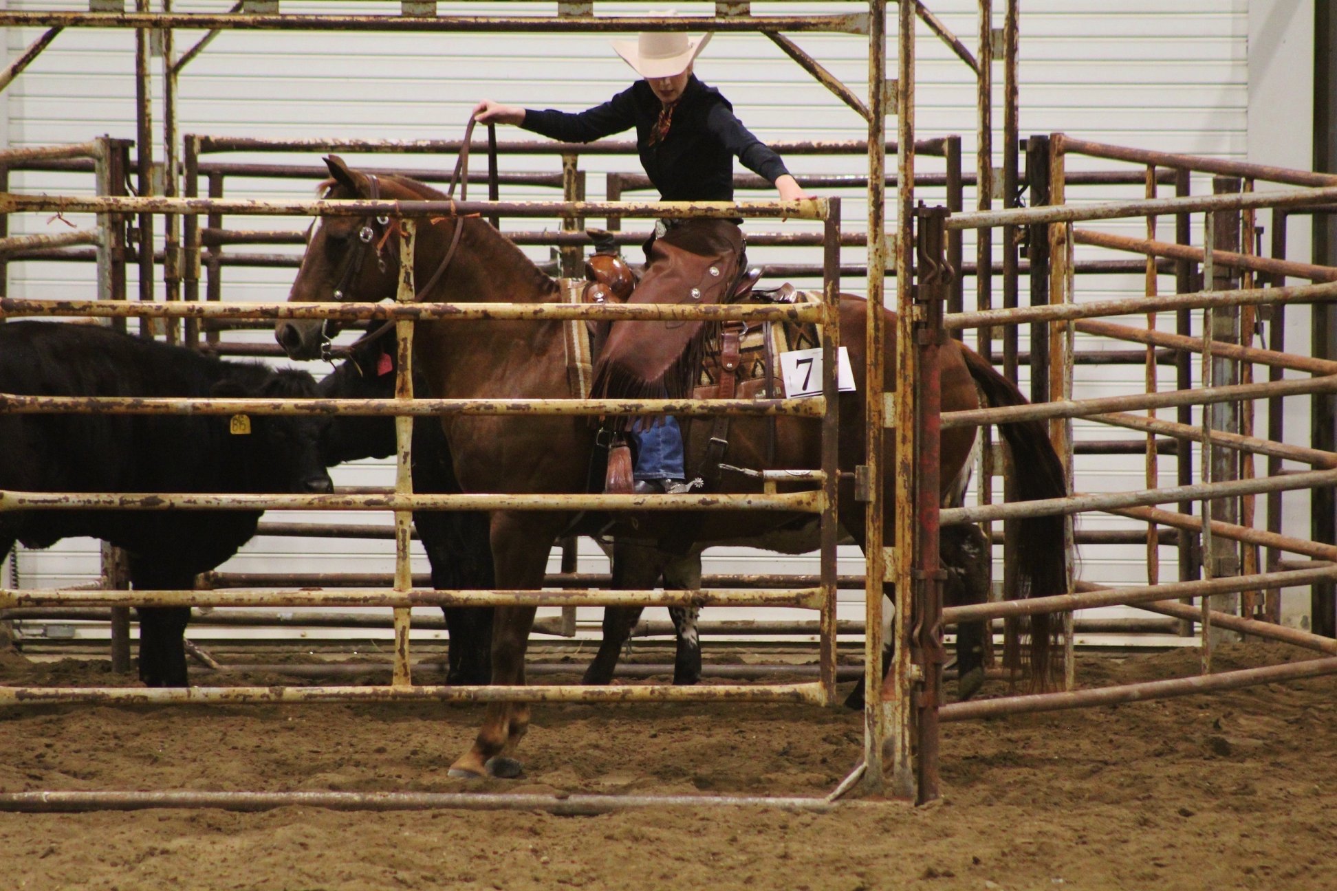 Awards — Saskatchewan Quarter Horse Association