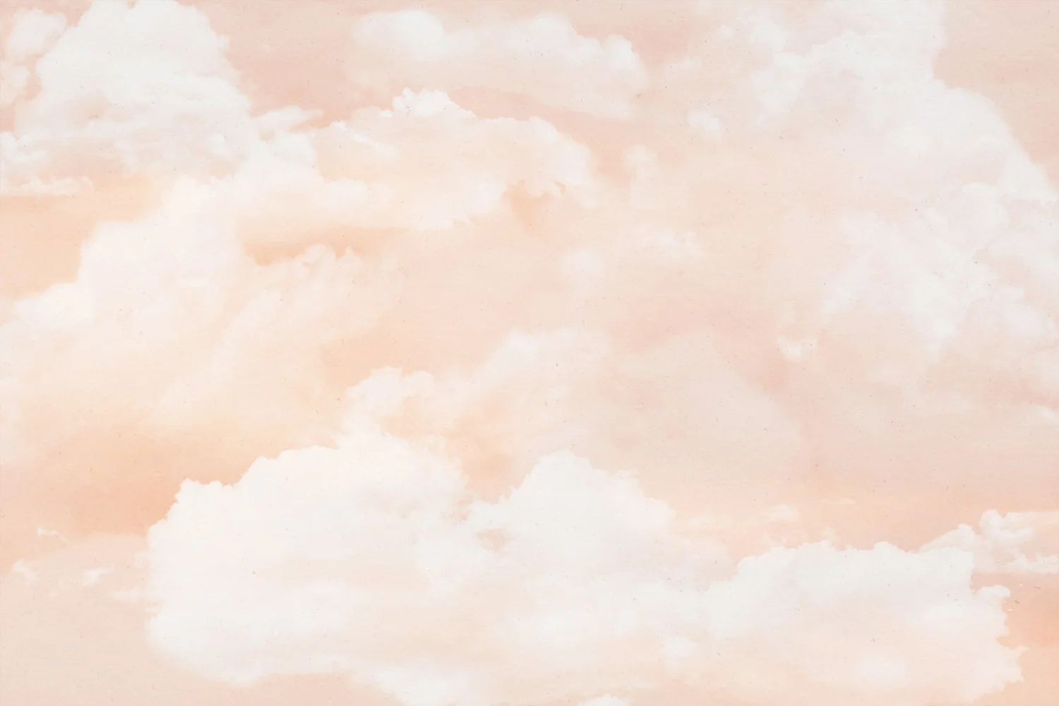 Our Artists — Cloud Studio