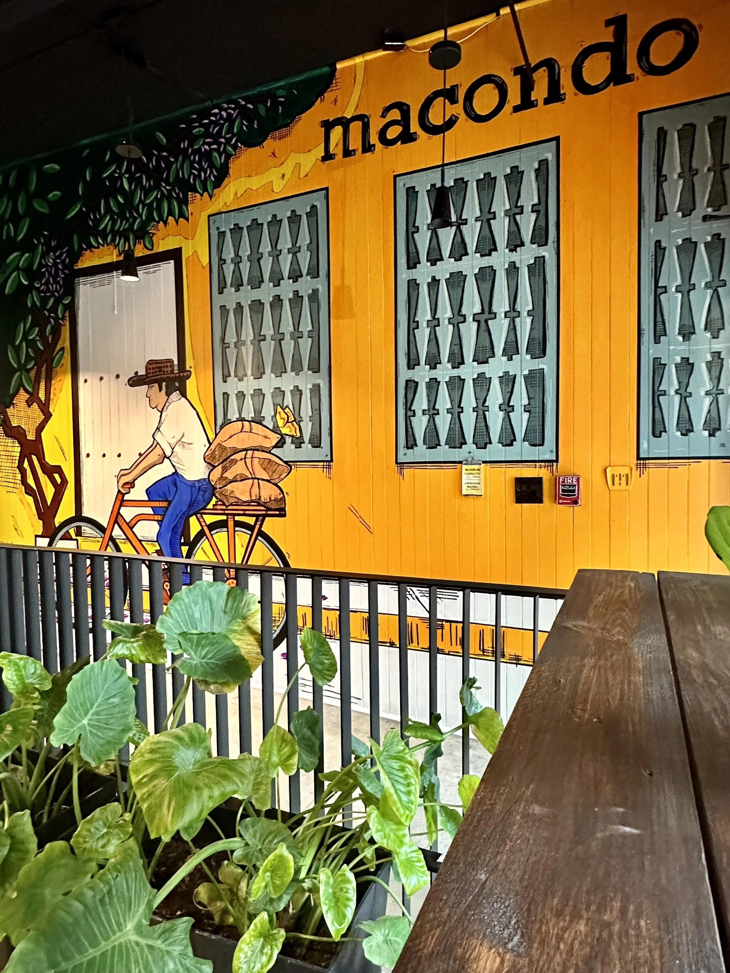 Order Online — Macondo Coffee Roasters