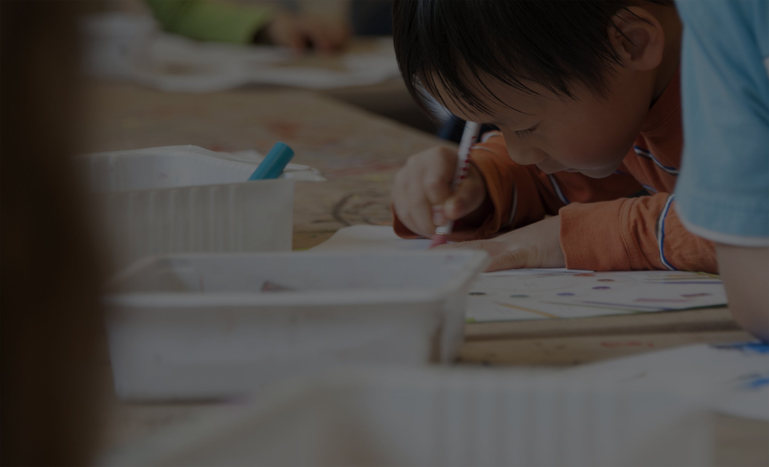 SCHOOL CHOICE PROGRAMS — AFC Growth Fund