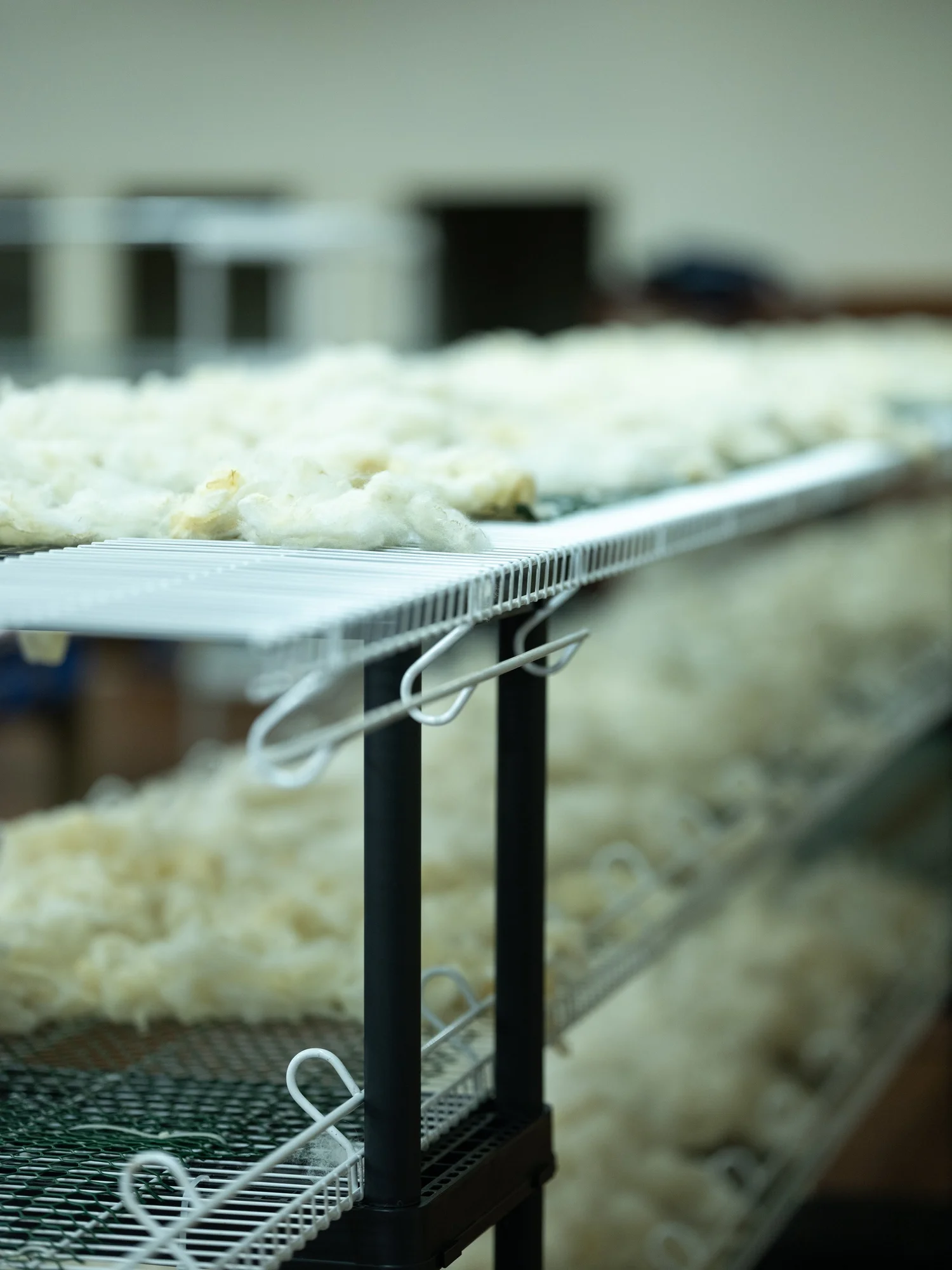 Clean Fleece — Hudson Valley Textile Project