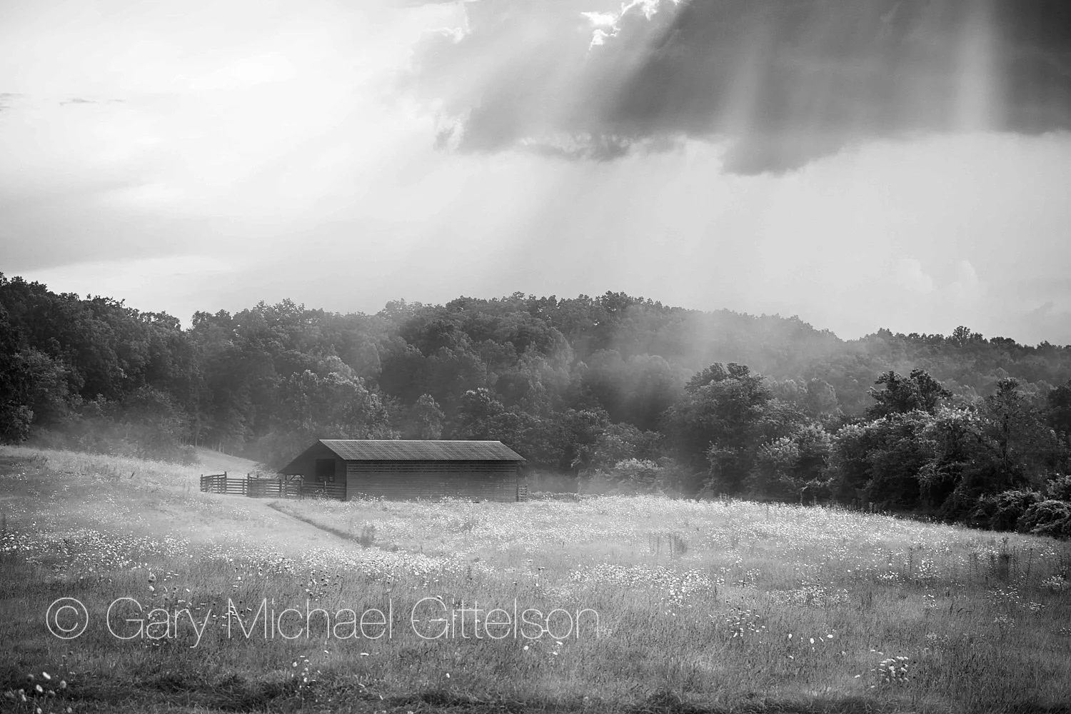 Gary Michael Photography | High Quality Professional Photography