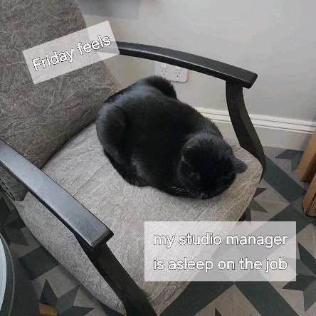 Nautilus Bloom - Print — Greer Provis - Hamptons Inspired Artworks