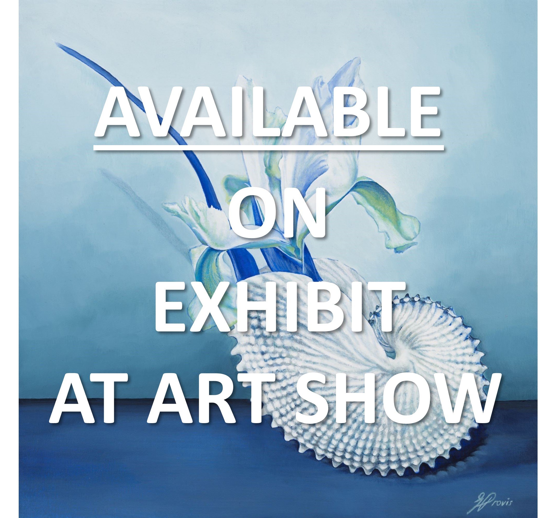 Nautilus Bloom - Original — Greer Provis - Hamptons Inspired Artworks