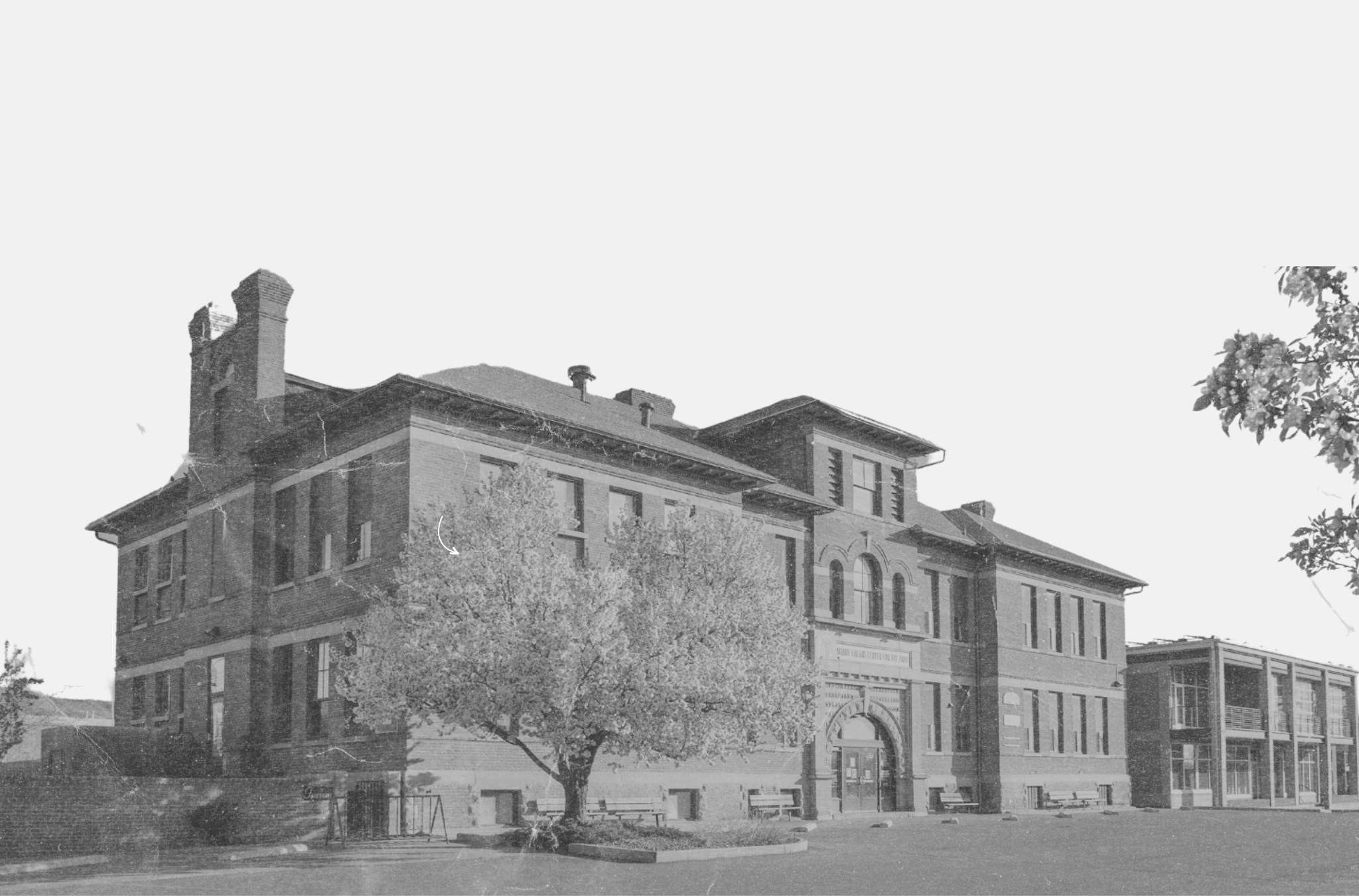 Shane Lalani Center for the Arts