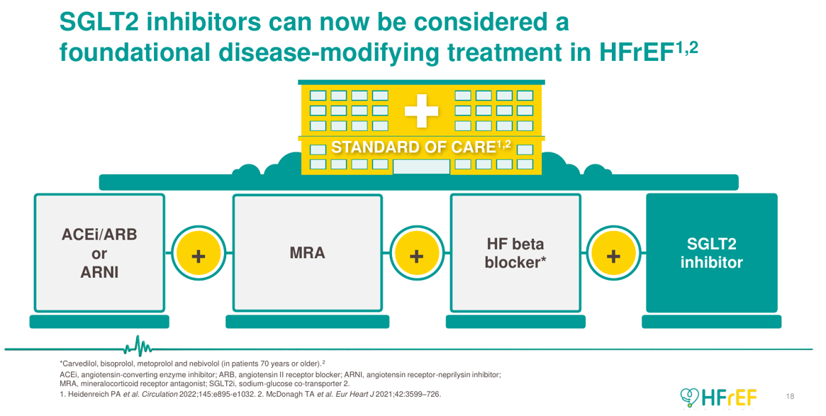 Heart Failure with Reduced Ejection Fraction (HFrEF) | South Island Heart