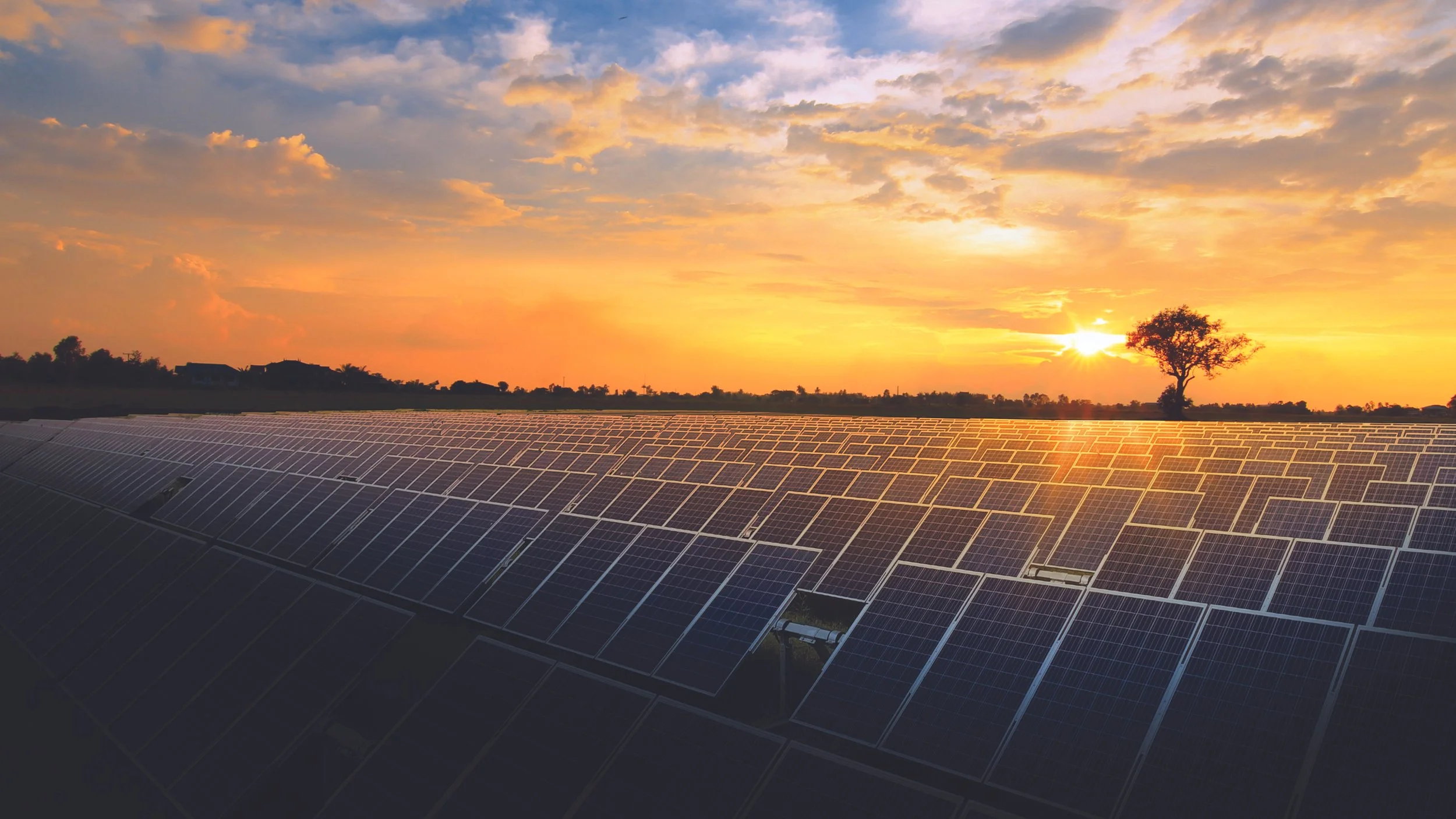 Introducing The Project — Cleve Hill Solar Park