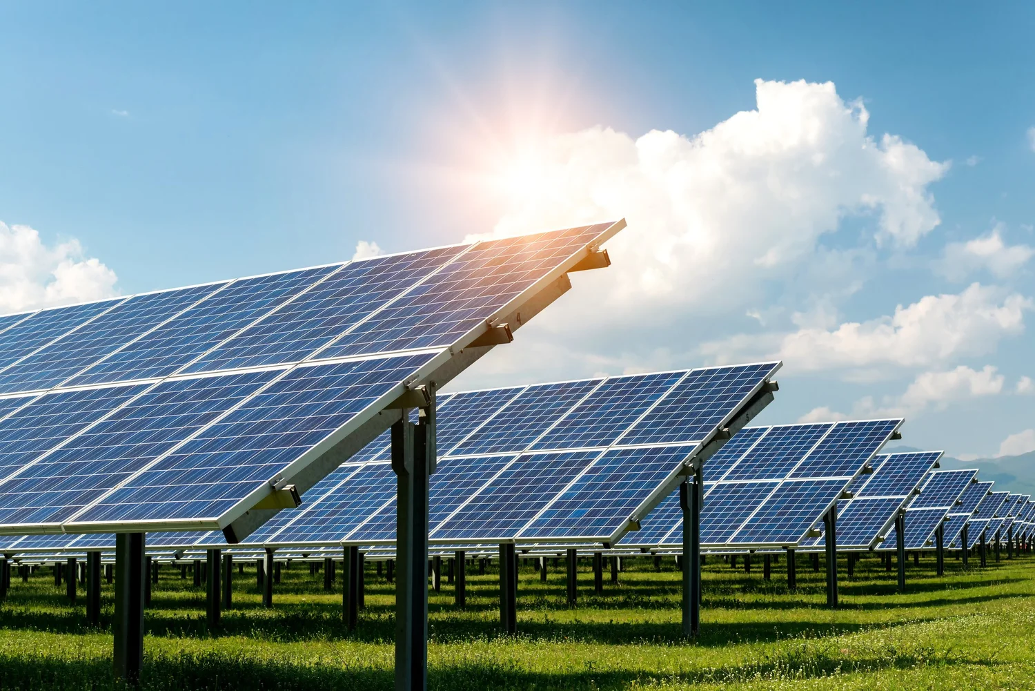 Introducing The Project — Cleve Hill Solar Park