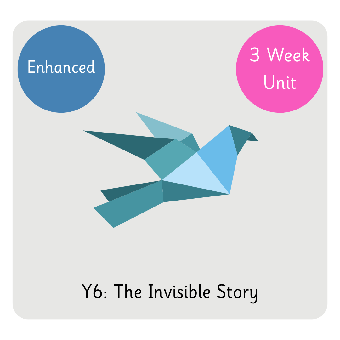 Y6 The Invisible Story Enhanced — Literacy Counts