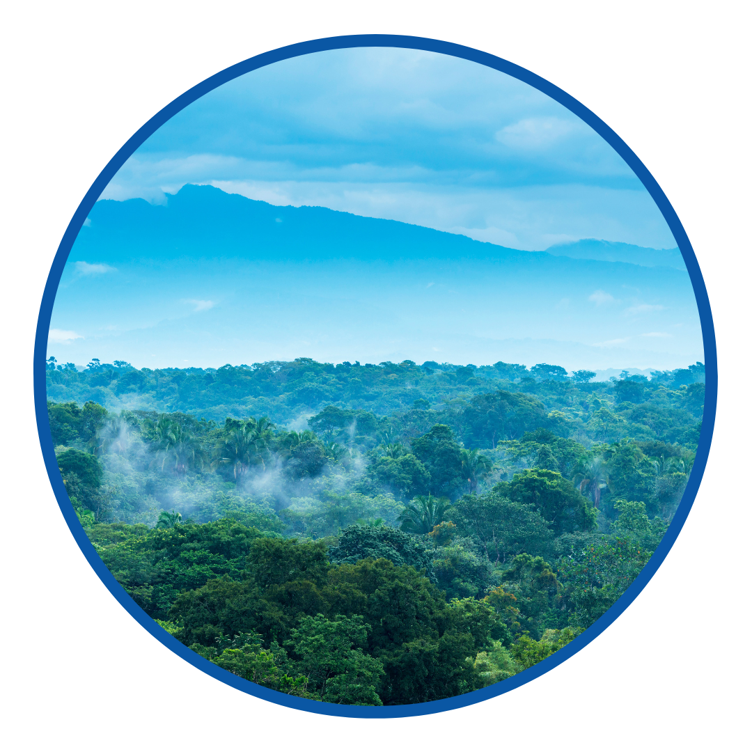 Read to Write — Literacy Counts