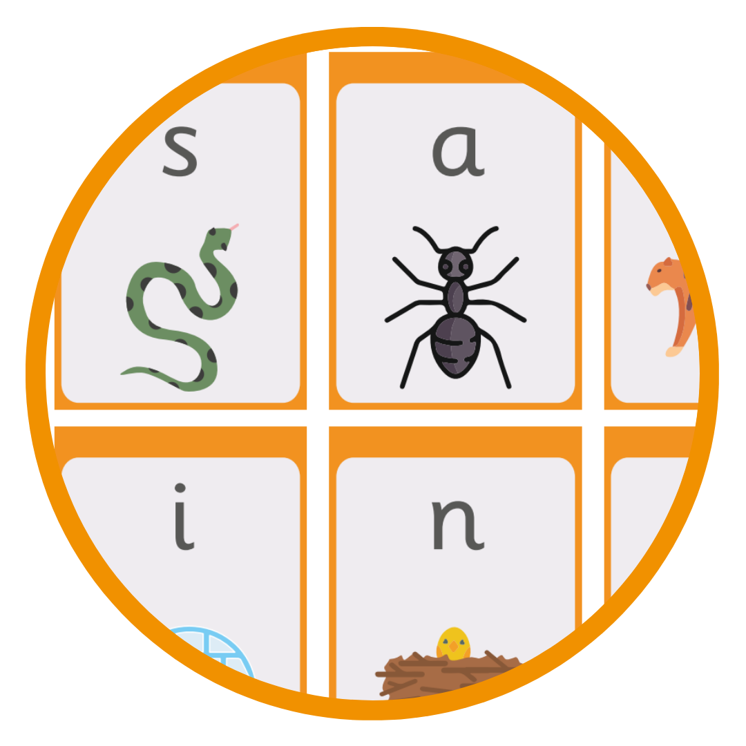 RSP Teach Dashboard — Literacy Counts