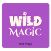 RSRT Y2 Wild Magic — Literacy Counts