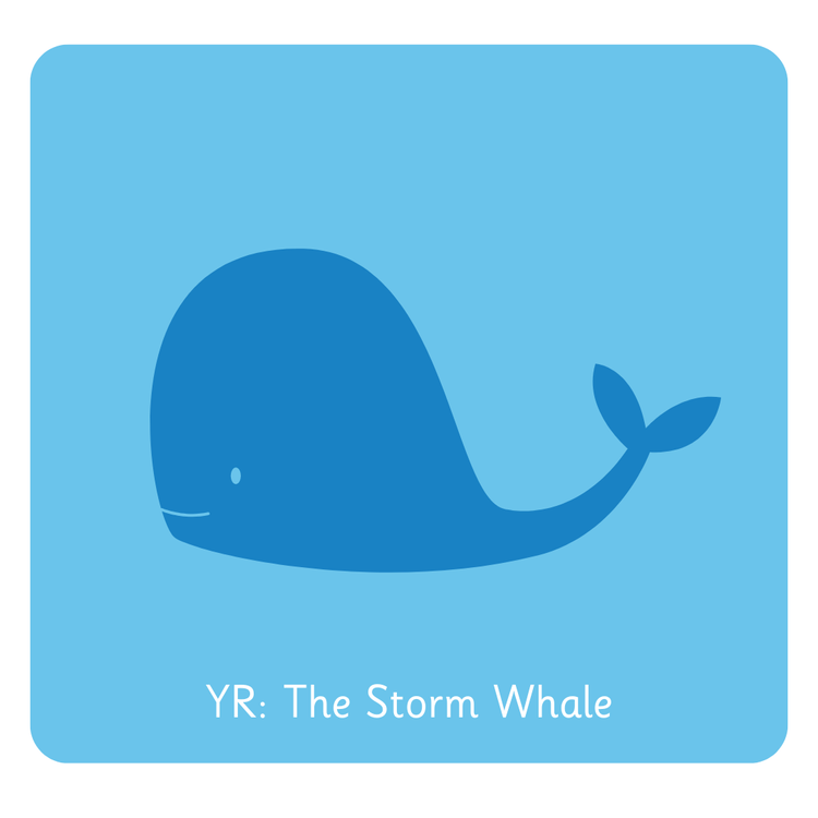 RSW Teach Sample Dashboard — Literacy Counts