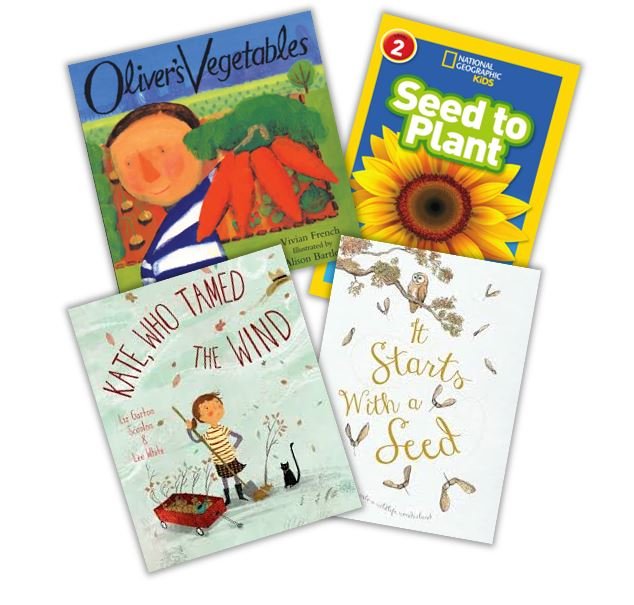 Ready Steady Comprehension — Literacy Counts