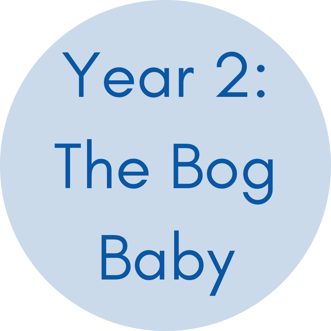 RSW Teach Sample Dashboard — Literacy Counts