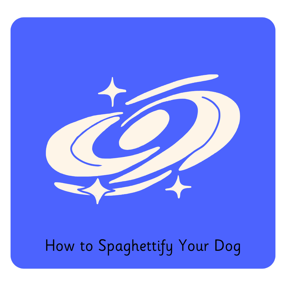 RSRT Y4 How to Spaghettify Your Dog — Literacy Counts