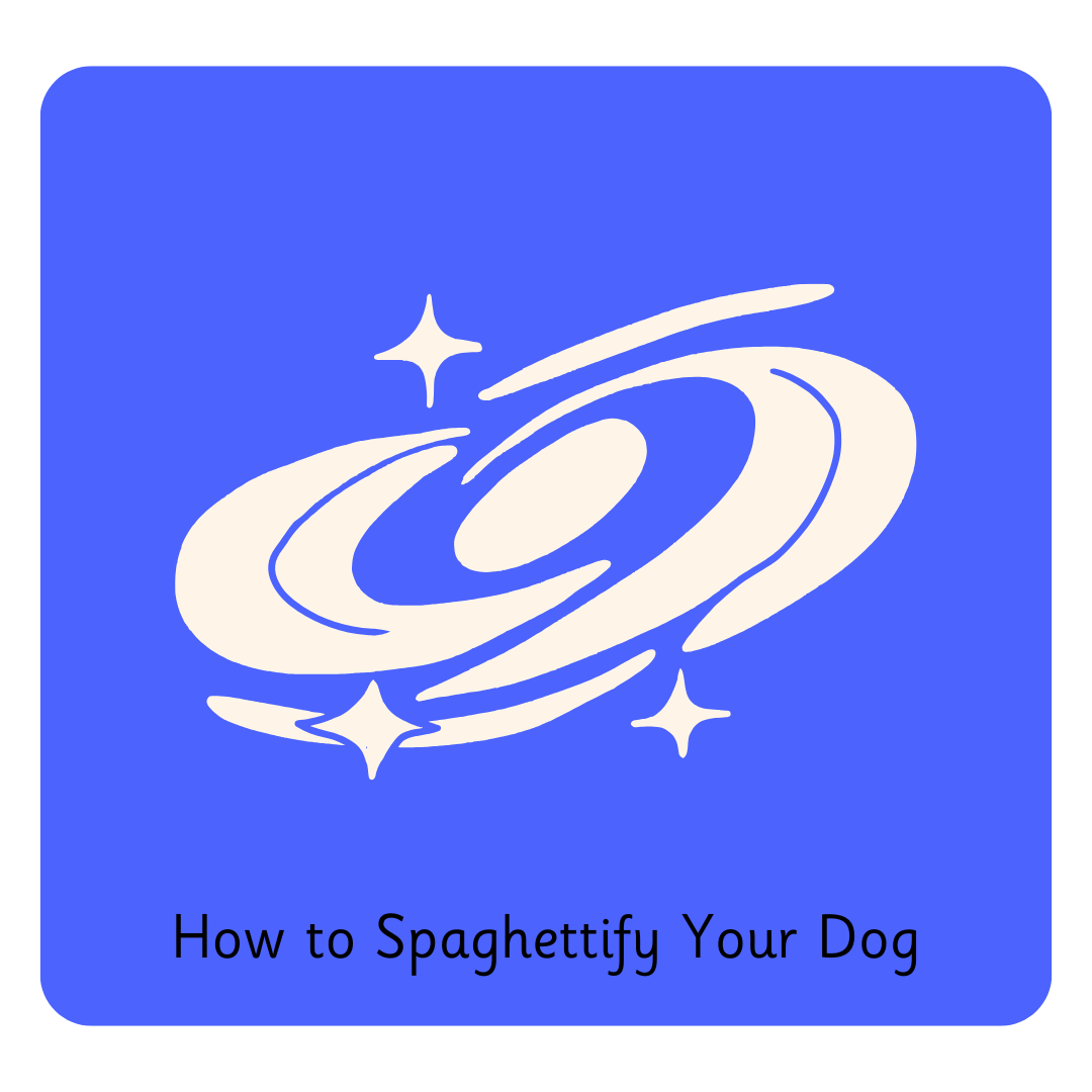 RSRT Y4 How to Spaghettify Your Dog — Literacy Counts
