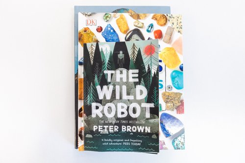 Steps to Read — Literacy Counts