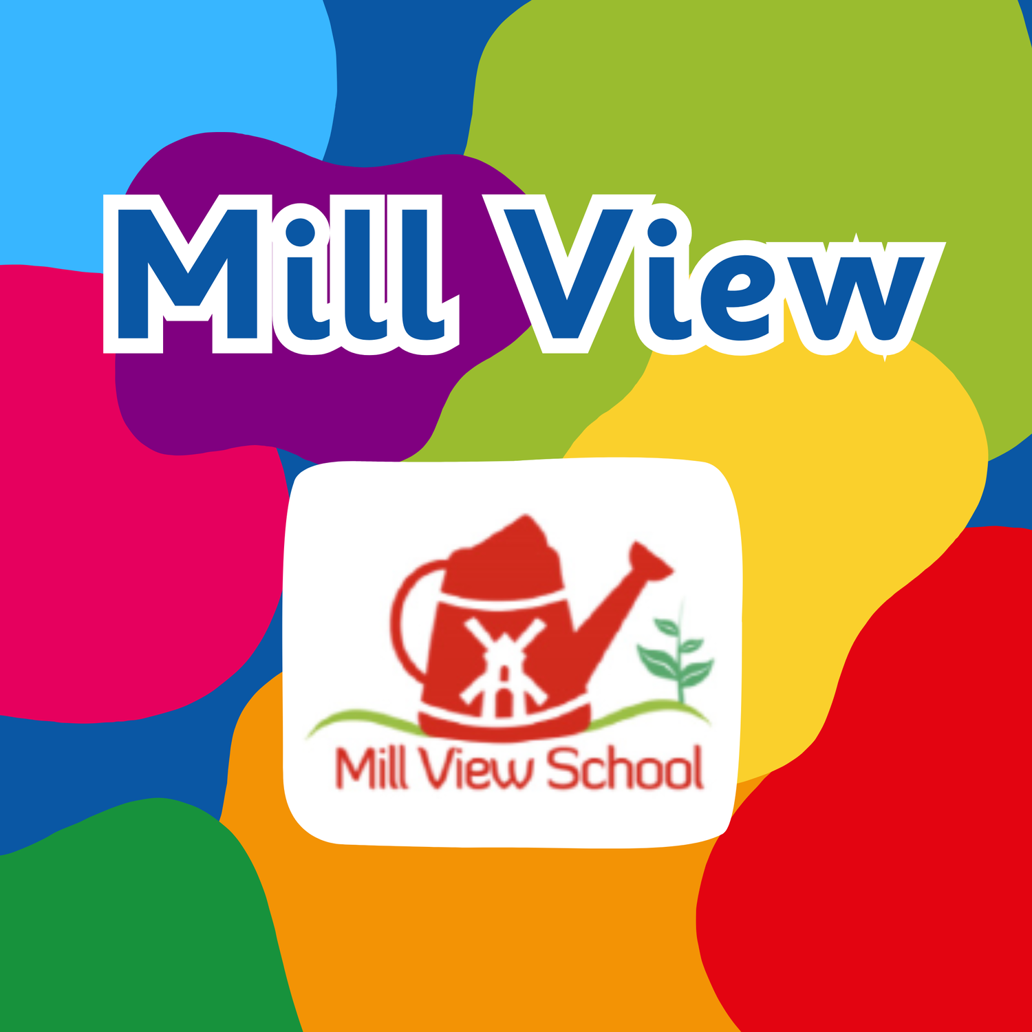 Literacy Counts Flagship Schools — Literacy Counts