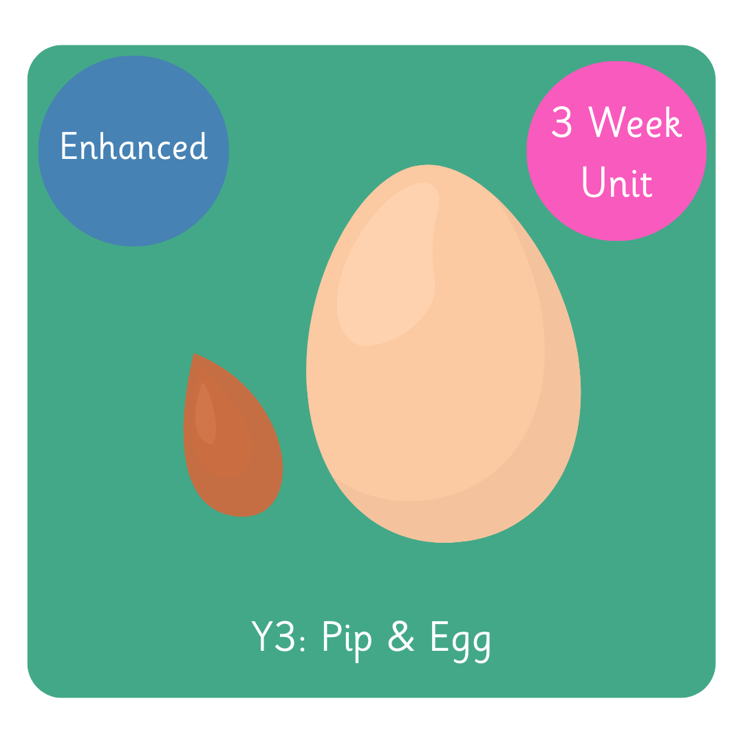 Y3 Pip & Egg Enhanced — Literacy Counts
