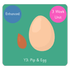 Y3 Pip & Egg Enhanced — Literacy Counts
