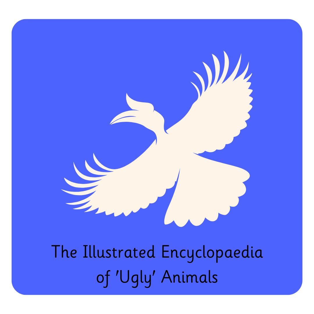 RSRT Y5 The Illustrated Encyclopaedia of ‘Ugly’ Animals — Literacy Counts