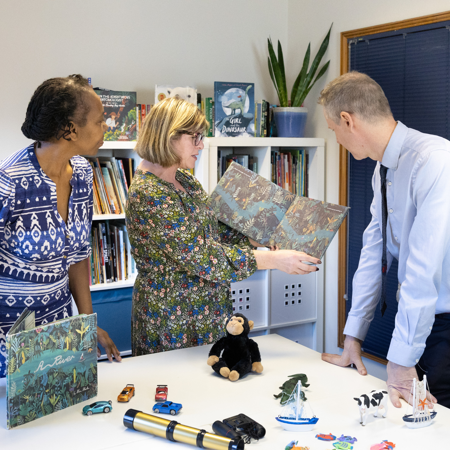 Expert Literacy Support for MATs & Clusters — Literacy Counts