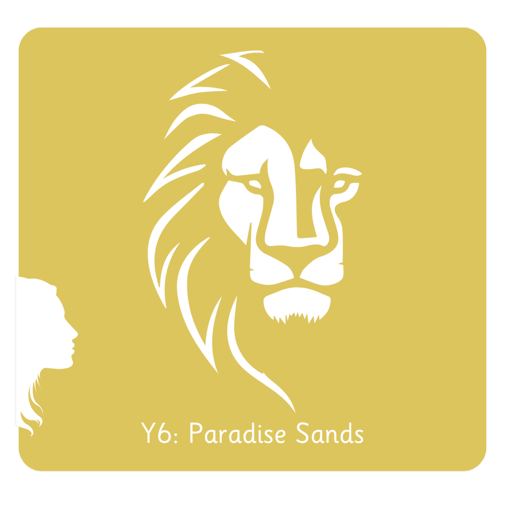 Y6 Paradise Sands — Literacy Counts