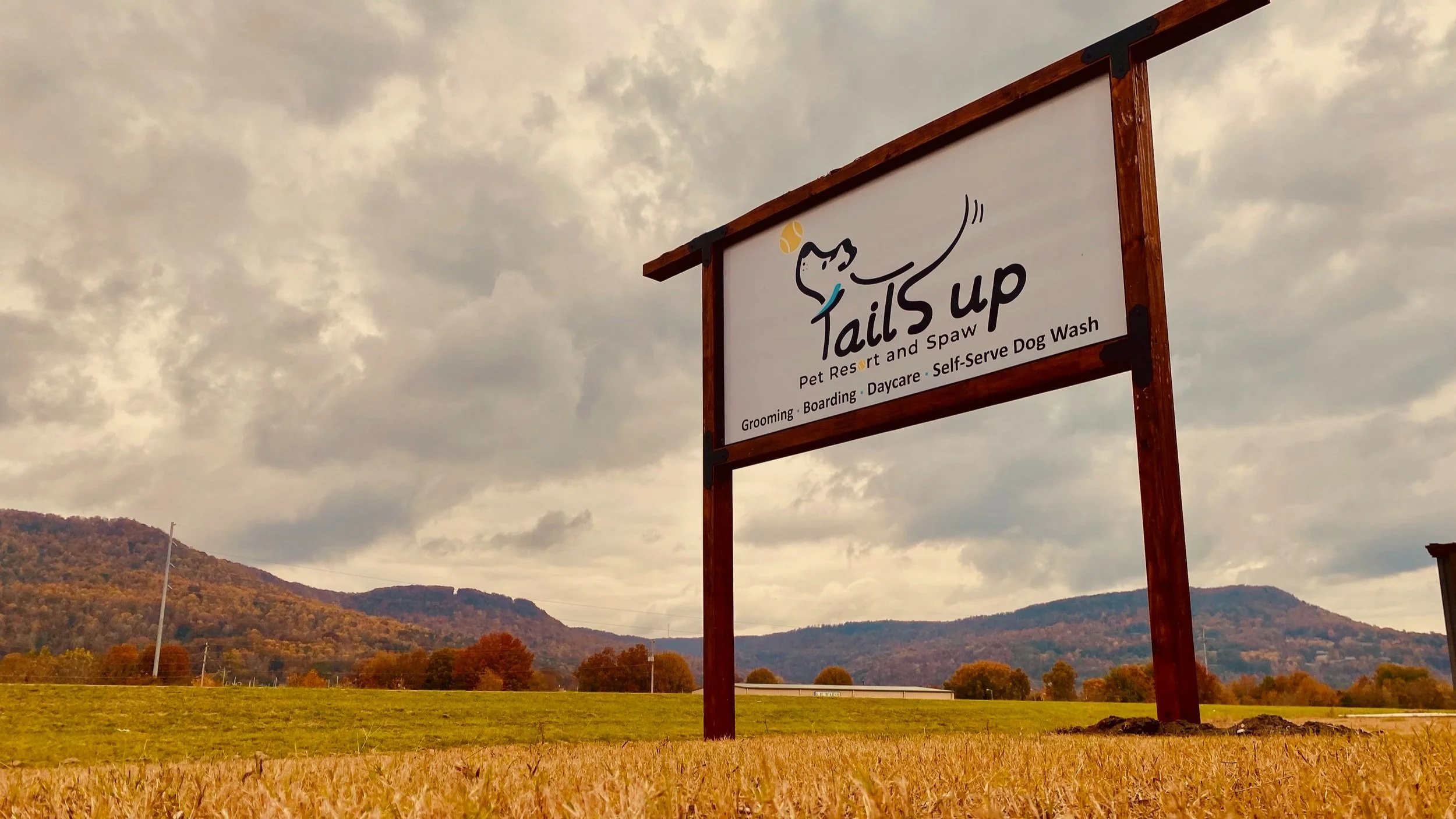 Tails Up Pet Resort & Spaw