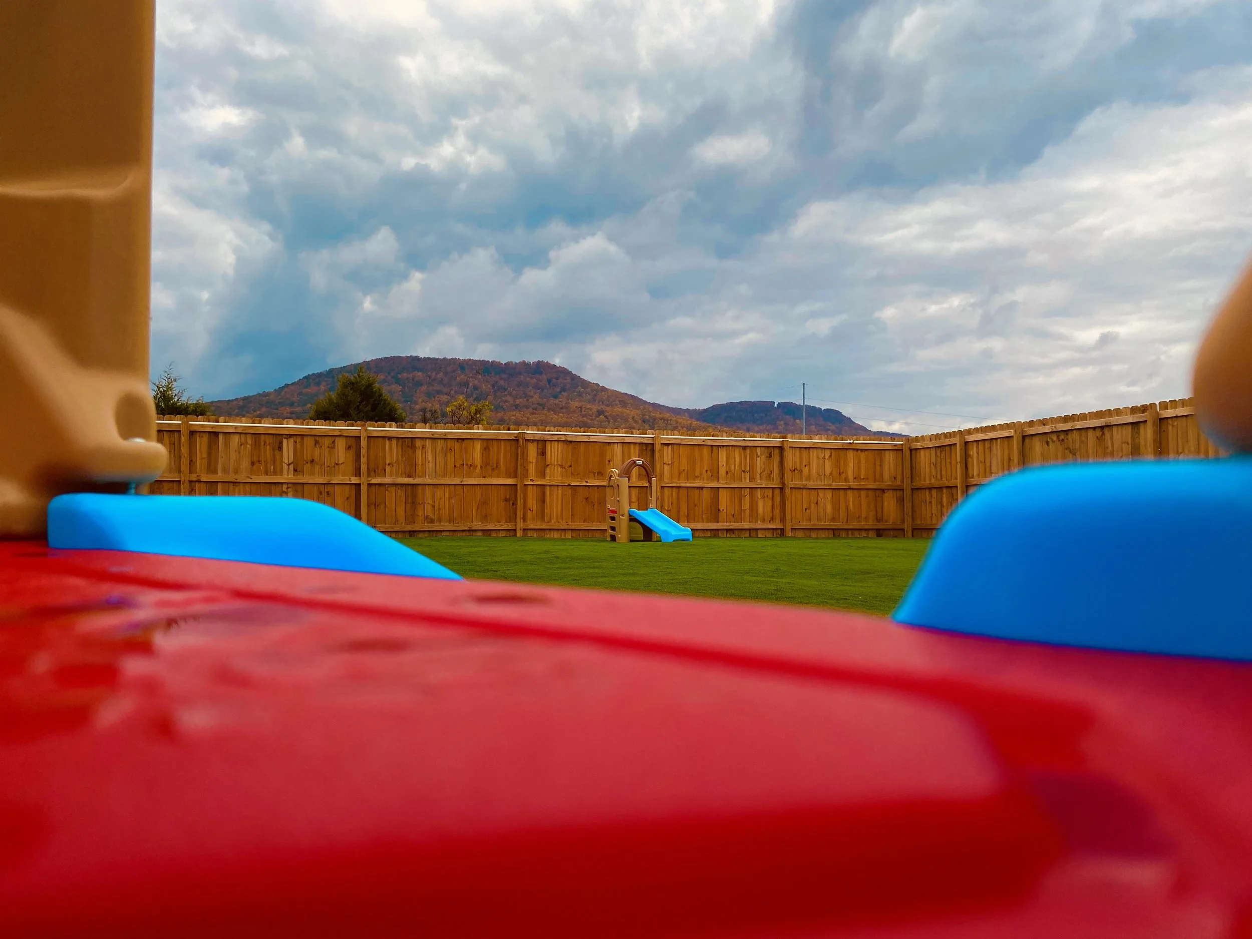 Tails Up Pet Resort & Spaw