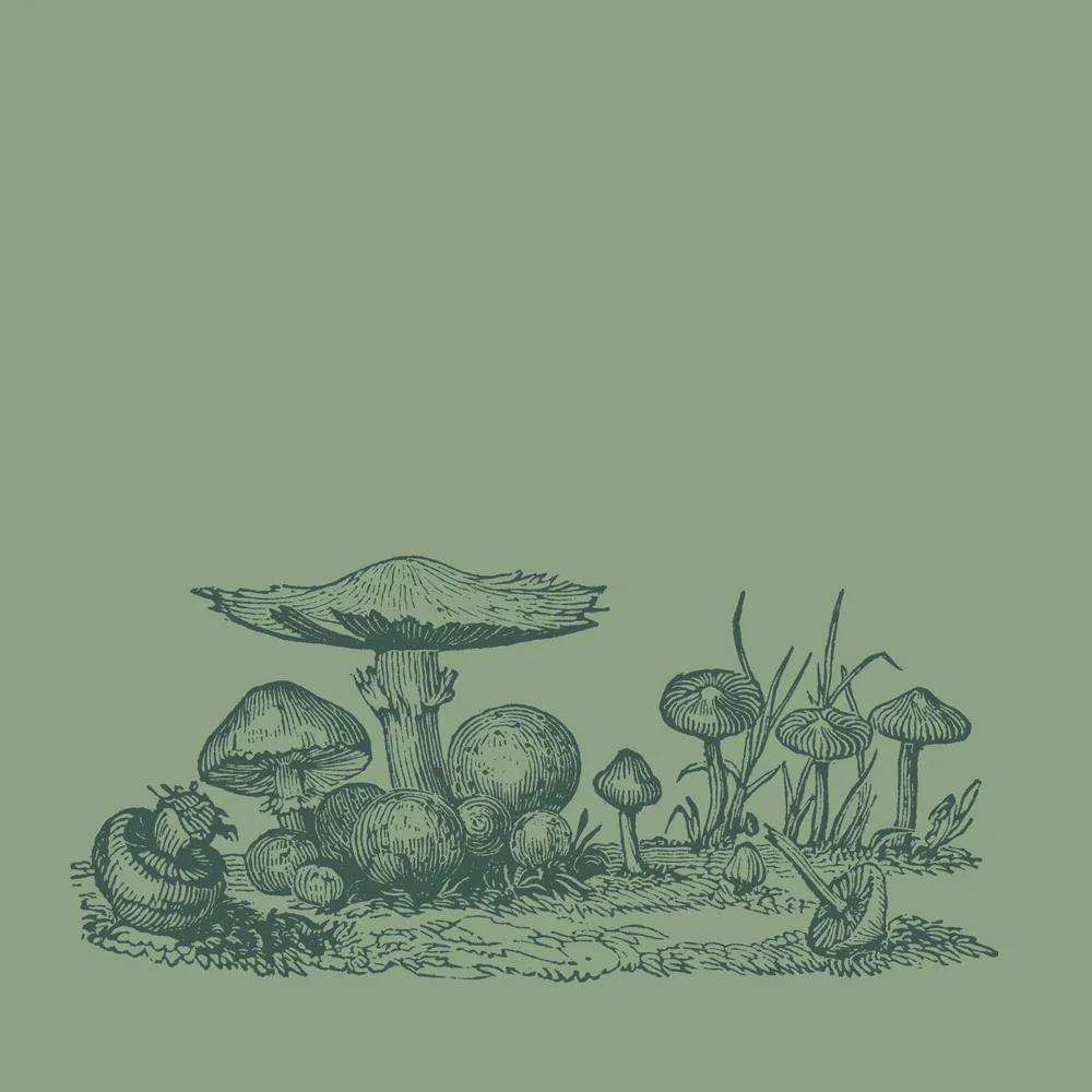 Team — Necanicum WC