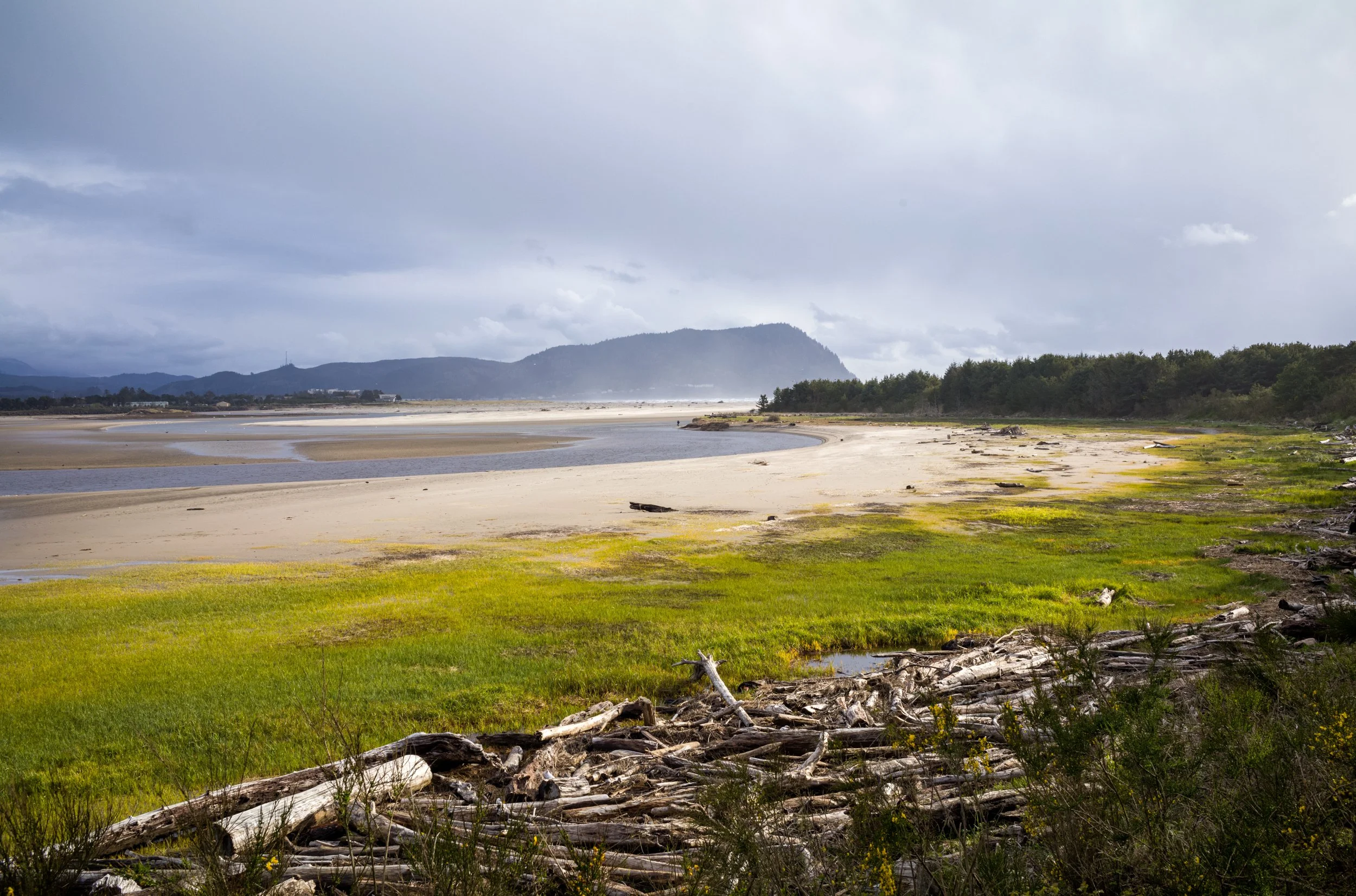 Our Watershed — Necanicum WC