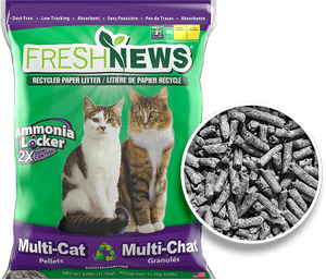 Fresh News Products — Fresh News