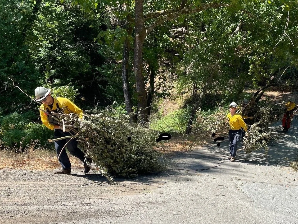 Diablo Fire Safe Council