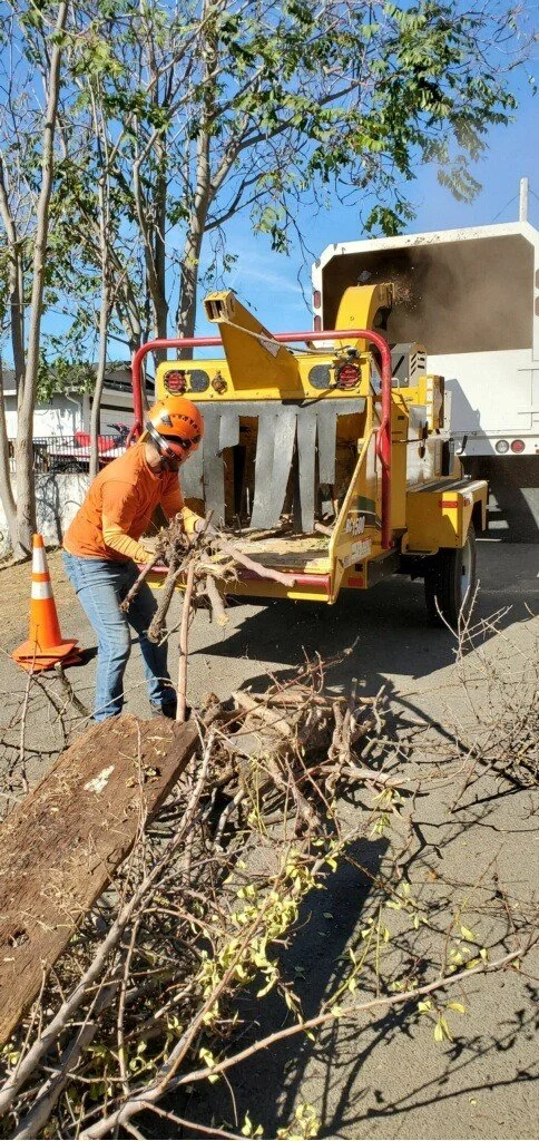 Free Chipping Programs in the East Bay — Diablo Firesafe Council