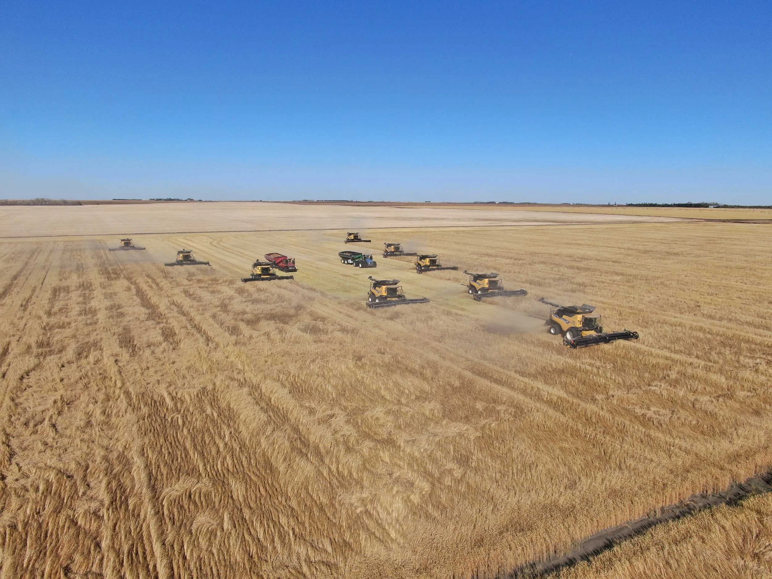 Gallery — C2 Farms