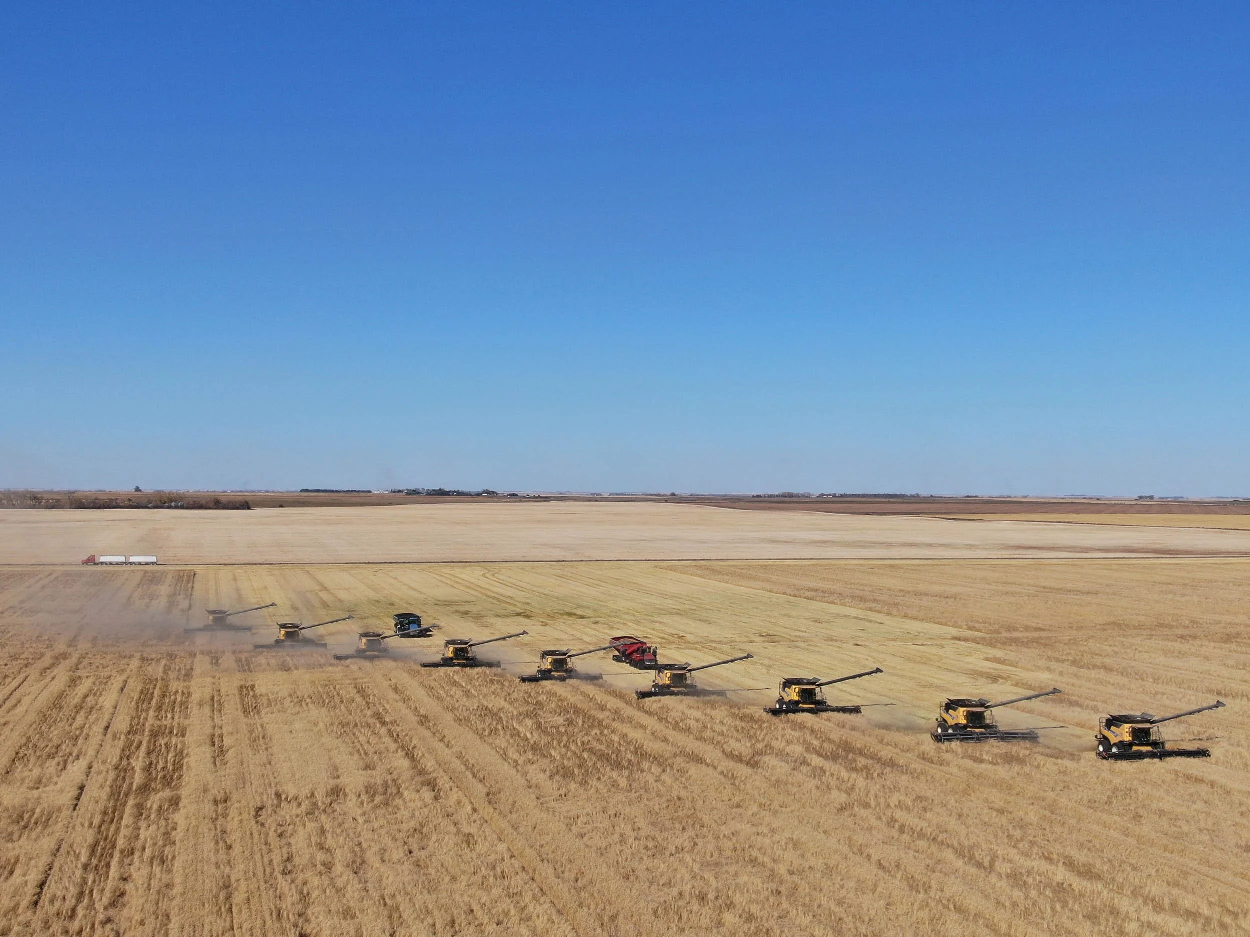 Gallery — C2 Farms